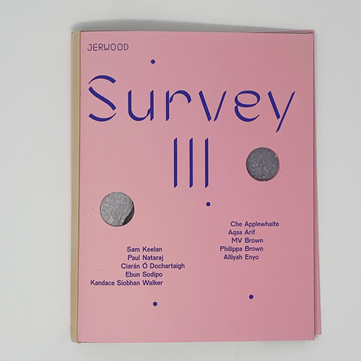 Jerwood Survey III Catalogue – Southwark Park Galleries